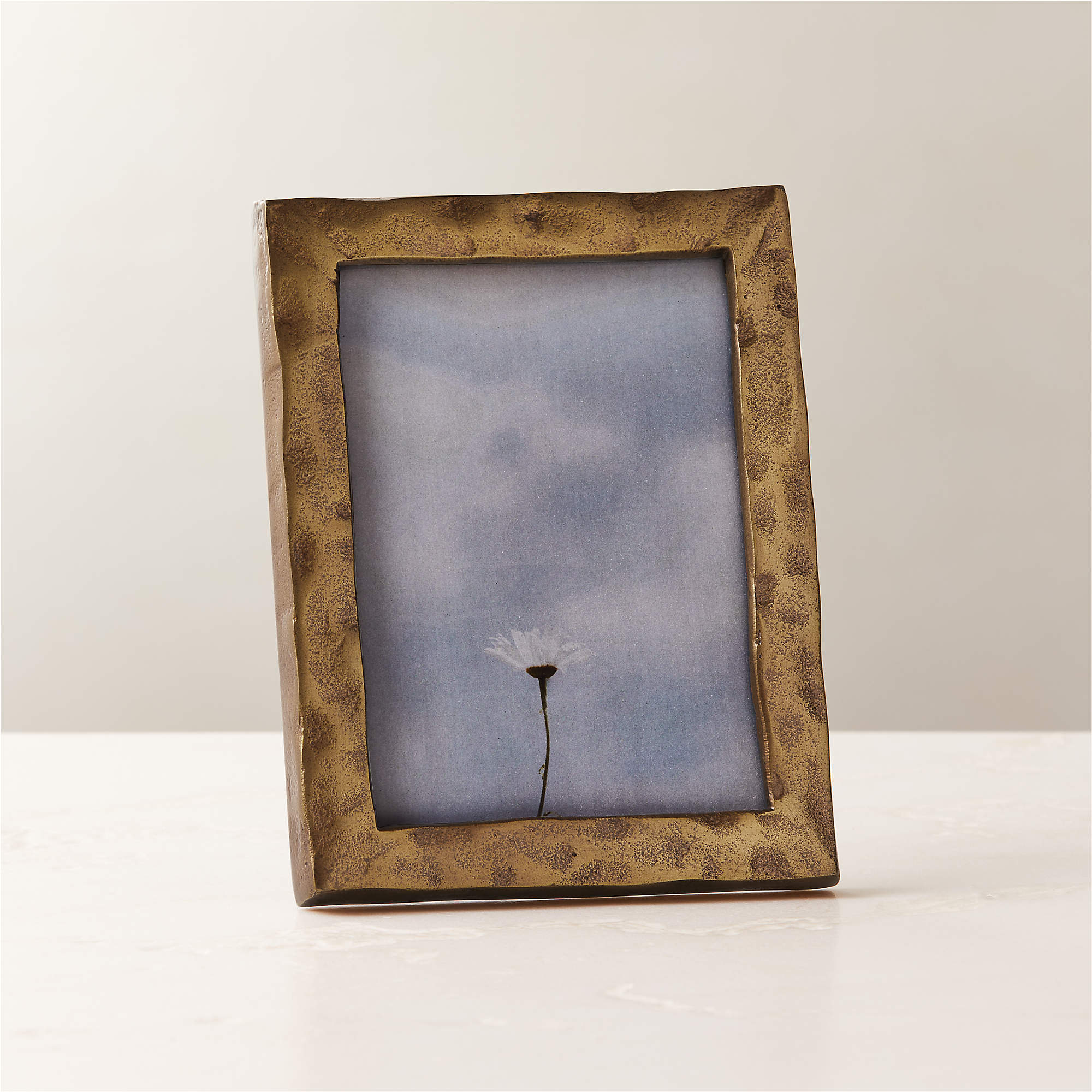 Abel Brass Picture Frame 5''x7'' + Reviews | CB2