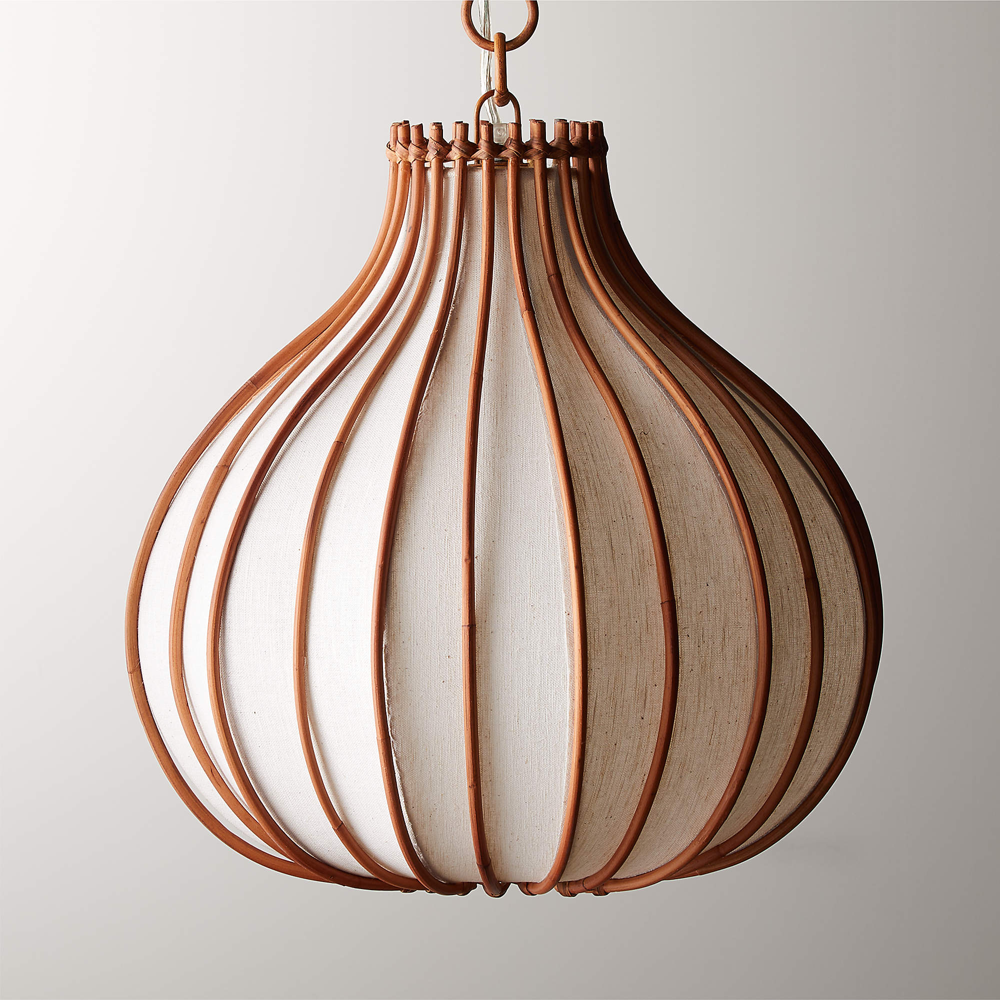 Aille Pendant Light + Reviews | CB2