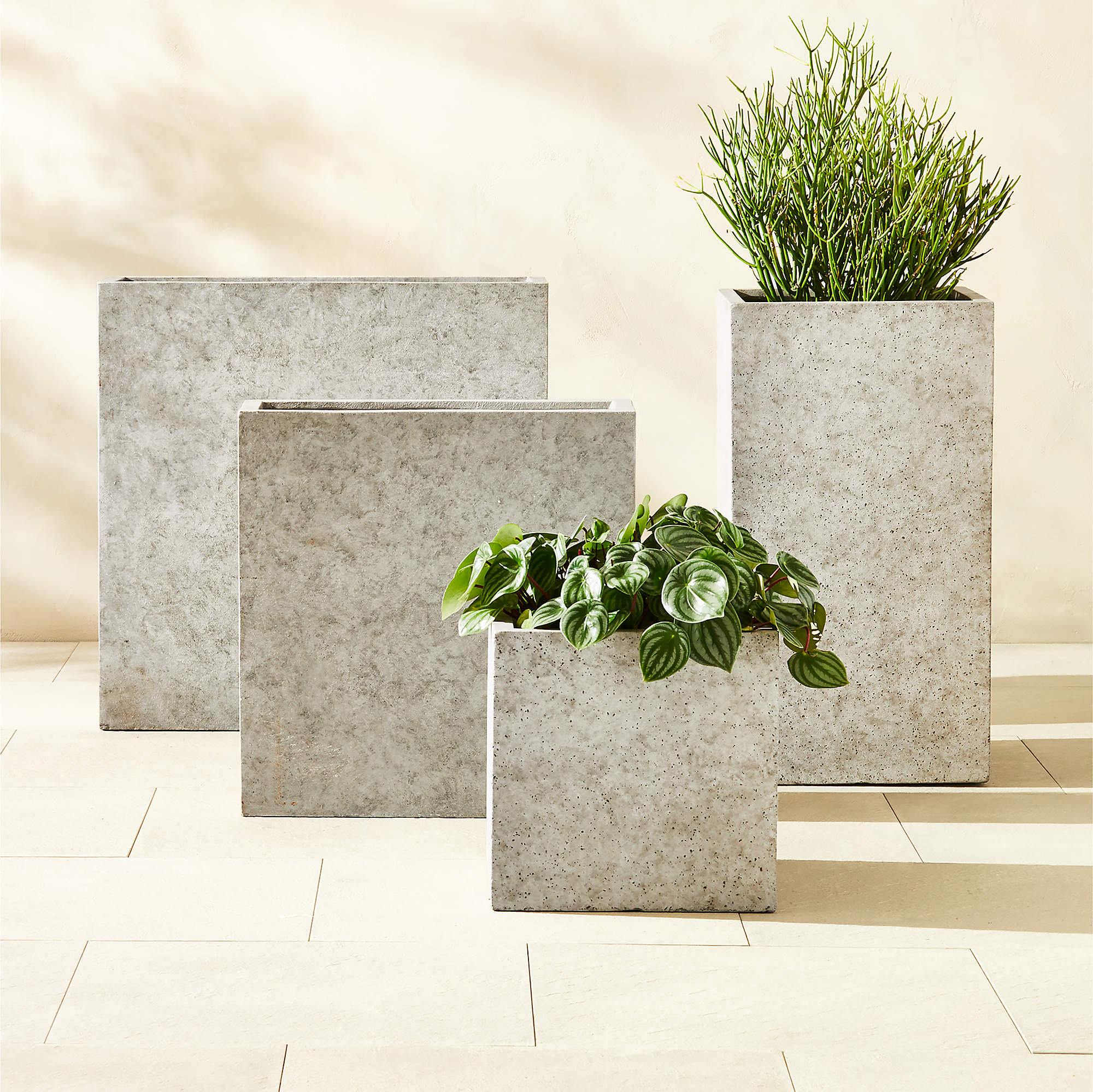 Ash Rectangular Modern Concrete Outdoor Planters | CB2 Canada
