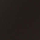 Mantis Swivel Wall Sconce Brass + Reviews | CB2