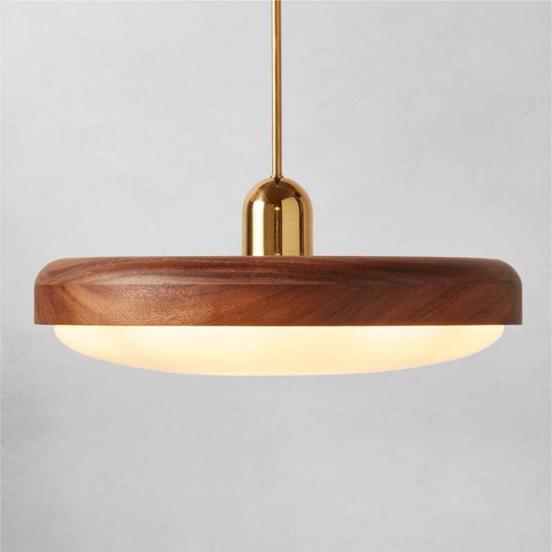Capistrano Brass Pendant Light 22" | CB2