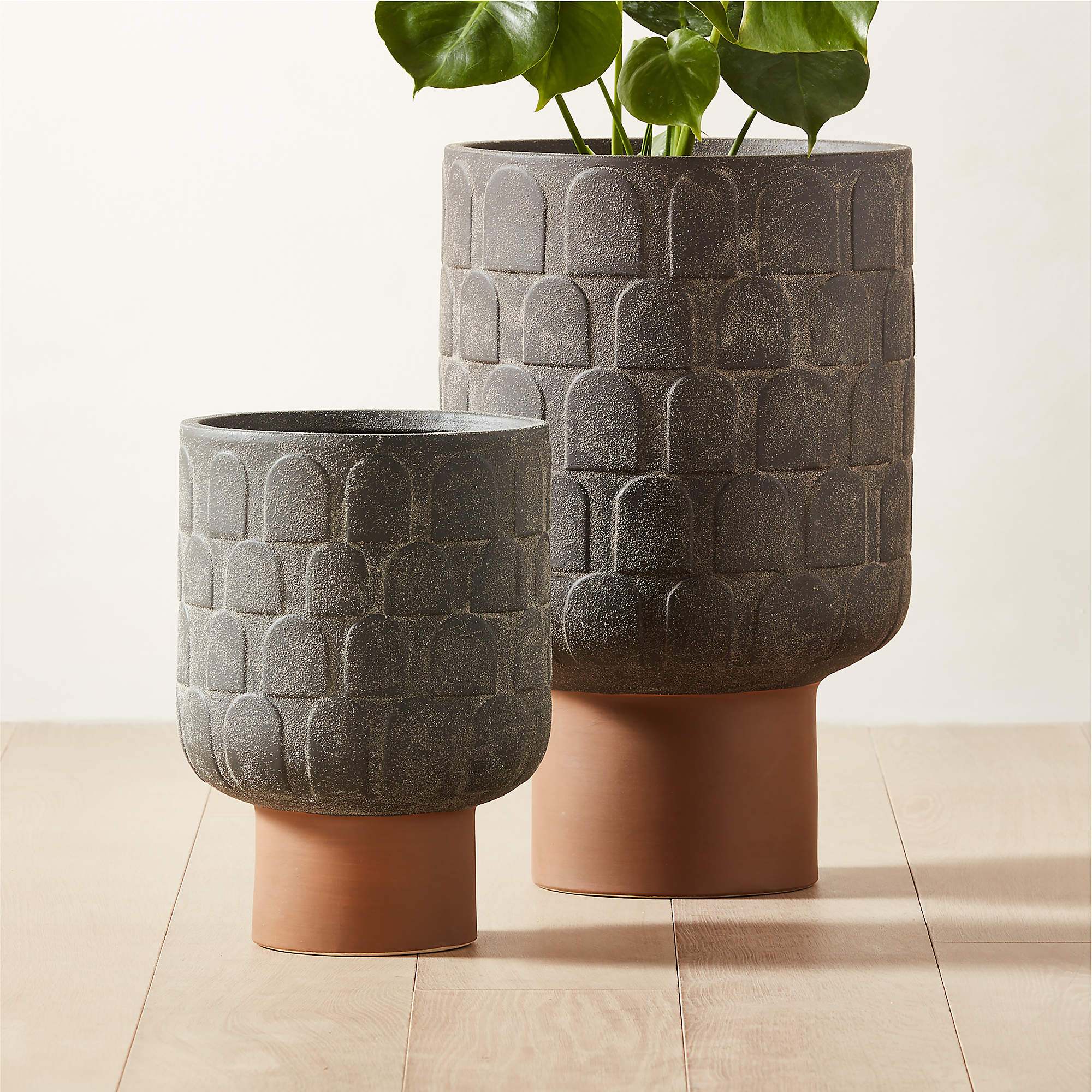 Clemente Footed Clay Indoor/Outdoor Planters by Lawson-Fenning | CB2