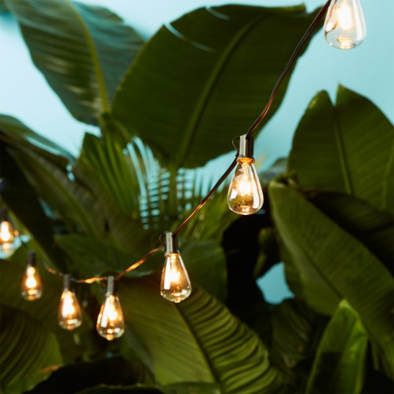 Edison String Light Bulbs Set of Two | CB2