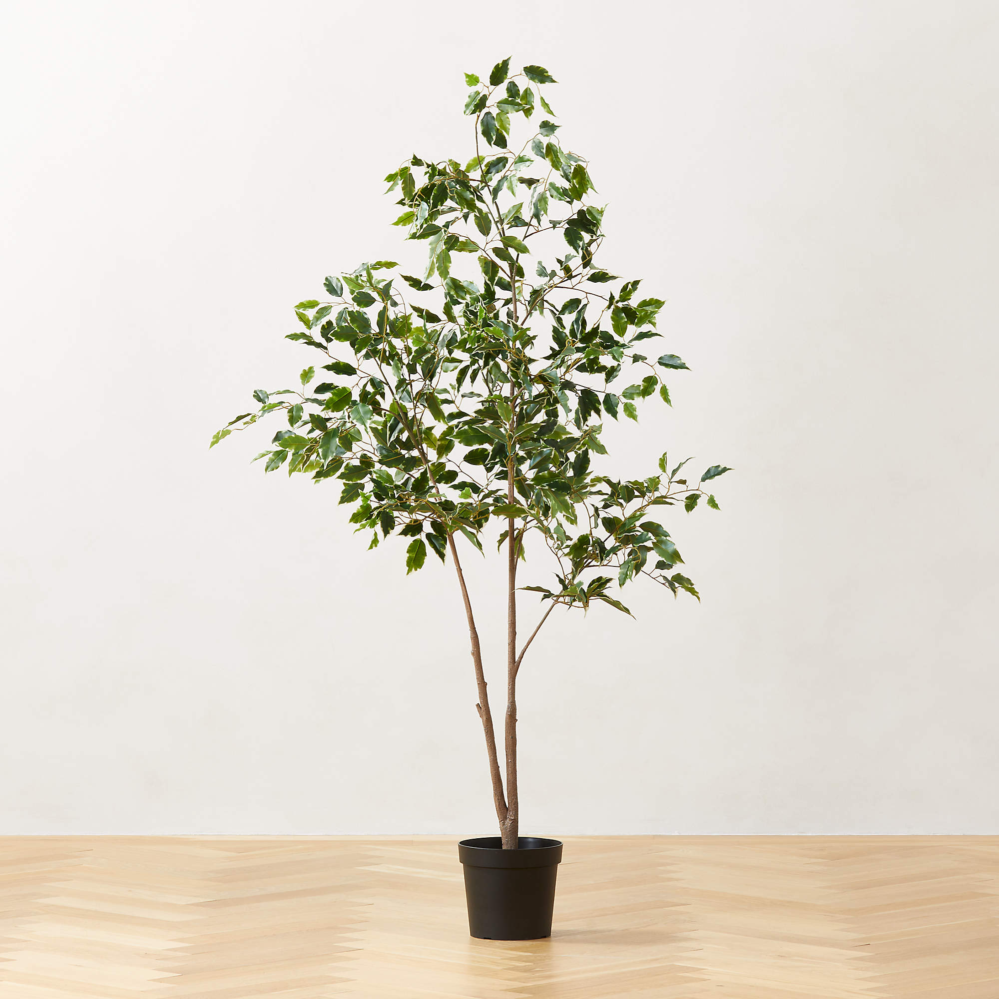 Faux Ficus Tree 6' + Reviews | CB2