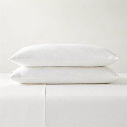 Hypoallergenic Down-Alternative Standard Pillow Inserts Set of 2 ...