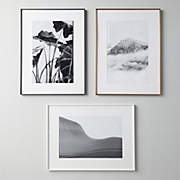 Gallery Brass Picture Frame with White Mat 18"x24" + Reviews | CB2