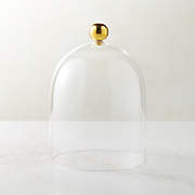 Glass Cloche with Unlacquered Brass Knob + Reviews | CB2 Canada