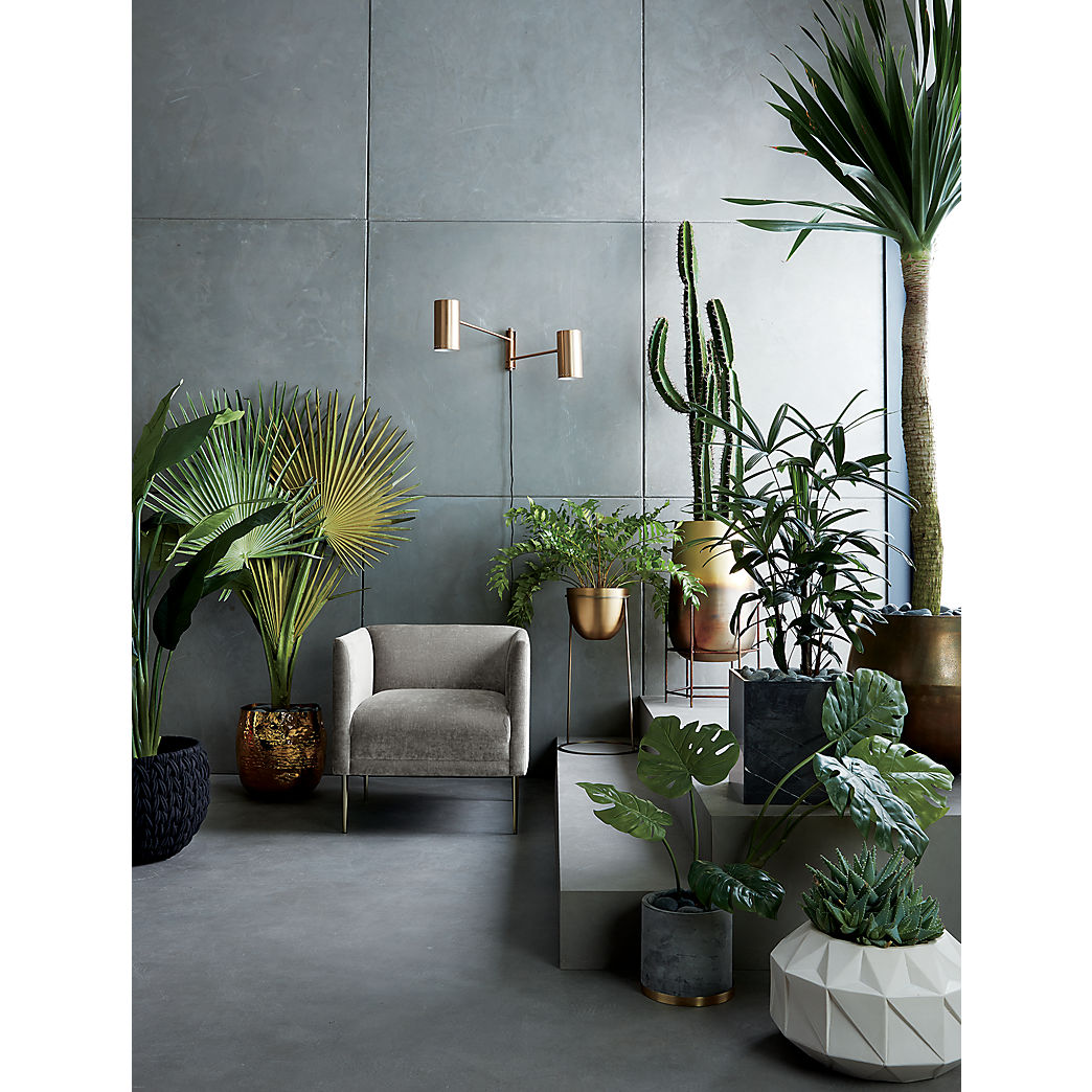 cactus home decor | CB2