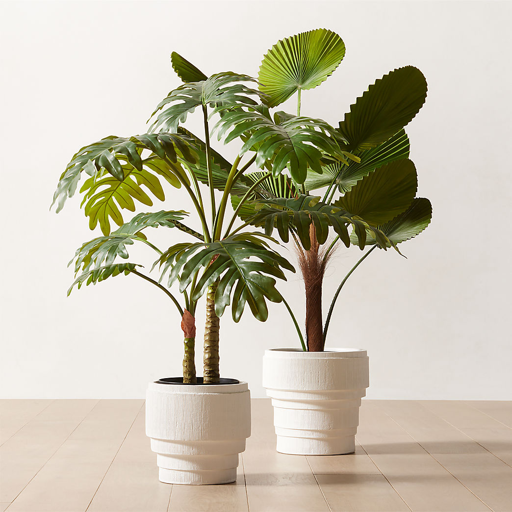 Modern Plants & Planters | CB2