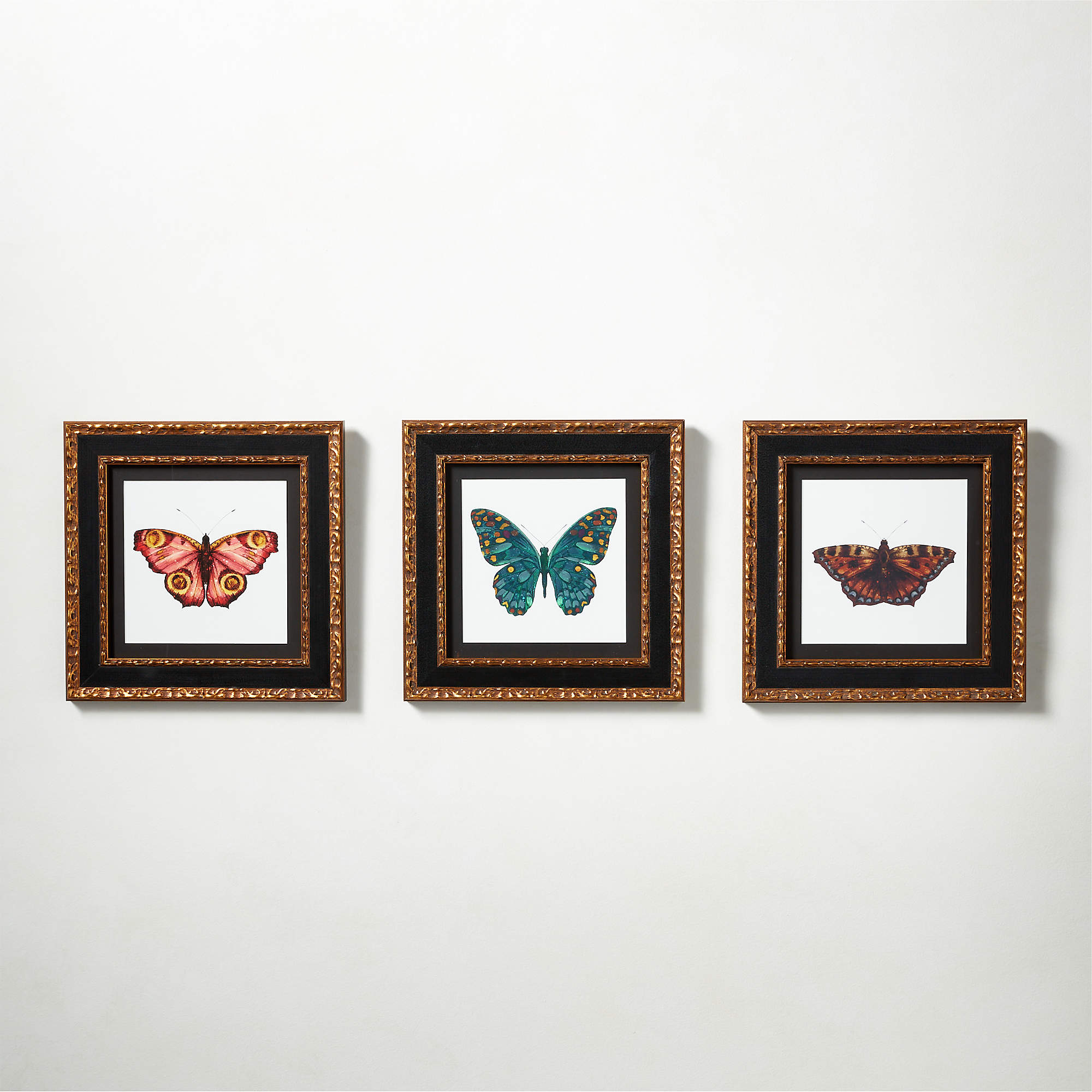 Metamorphosis Modern Framed Wall Art Set of 3 | CB2