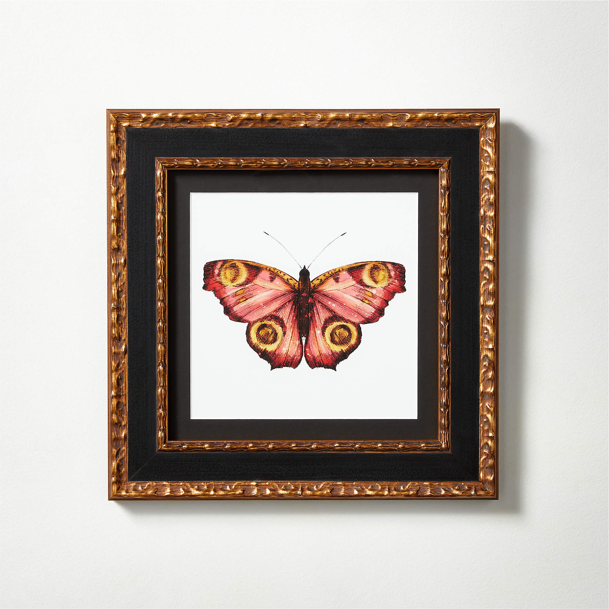 Metamorphosis I Framed Modern Butterfly Print 13"x13" + Reviews | CB2