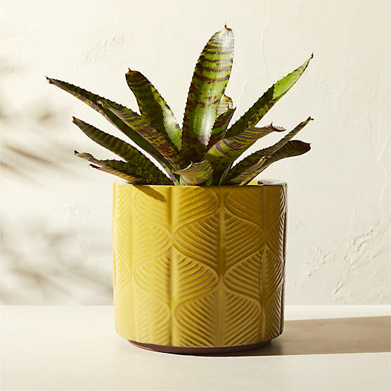 Komo Green Striped Ceramic Indoor/Outdoor Planter Large + Reviews | CB2