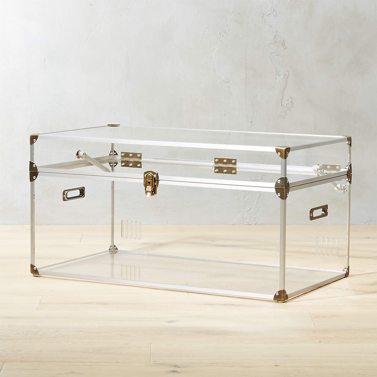 Mod Large Clear Acrylic Locker Trunk + Reviews | CB2 Canada