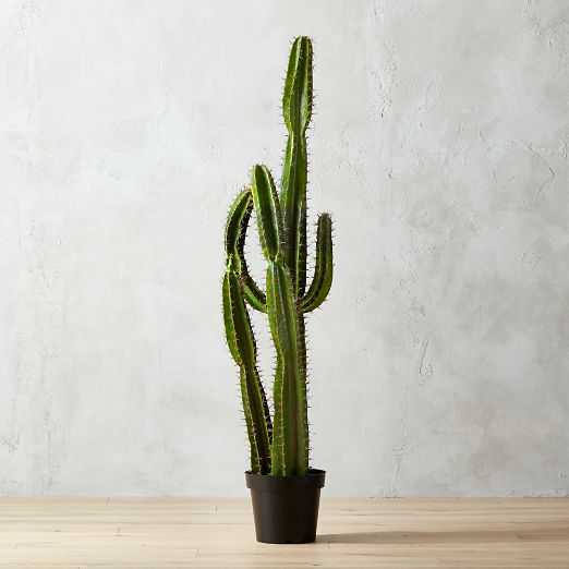 cactus home decor | CB2