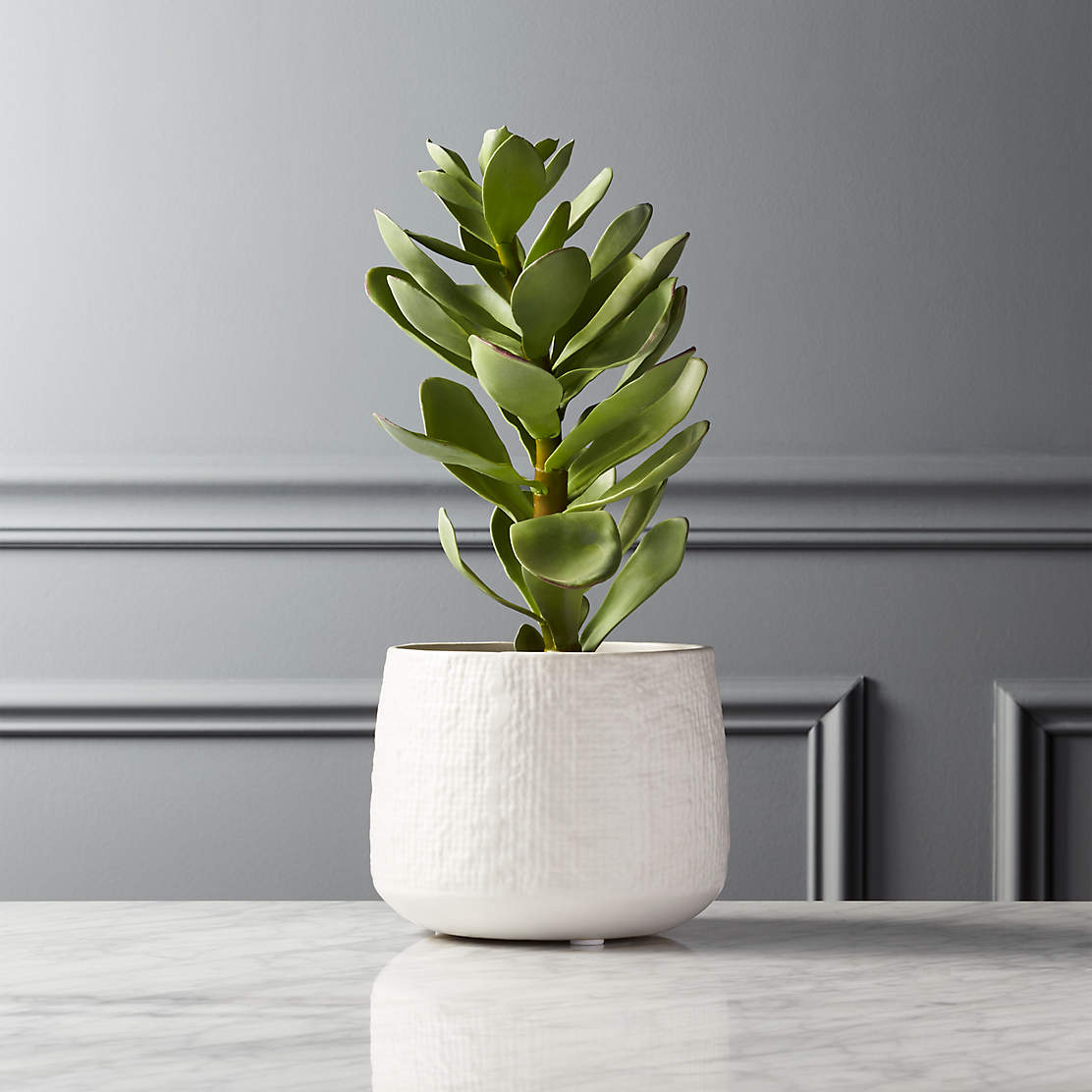 Faux Potted Watermelon Peperomia Plant 24" + Reviews | CB2 Canada