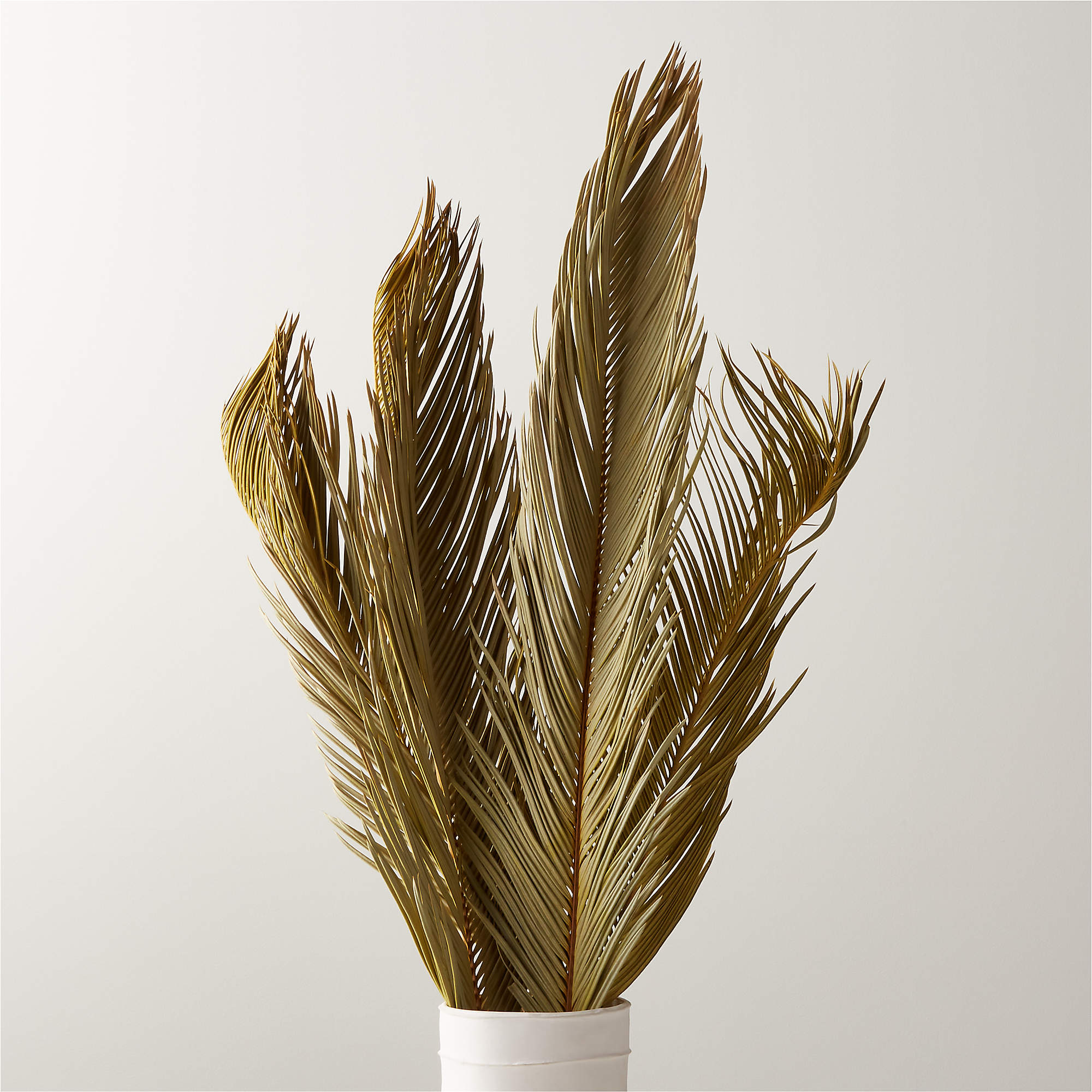 Sago Dried Palm Leaf Bunch 33" + Reviews | CB2 Canada
