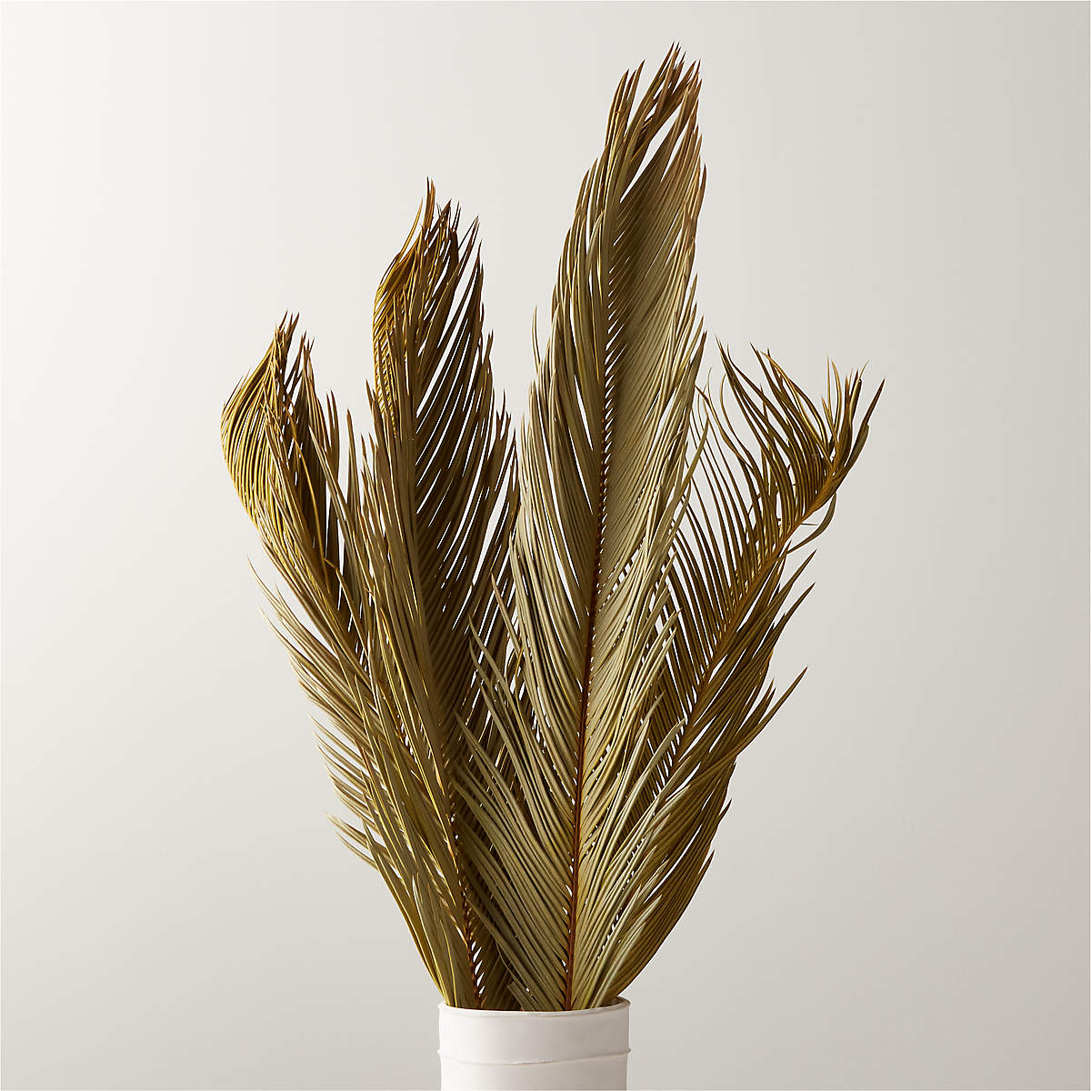 Sago Dried Palm Leaf Bunch 33" + Reviews | CB2