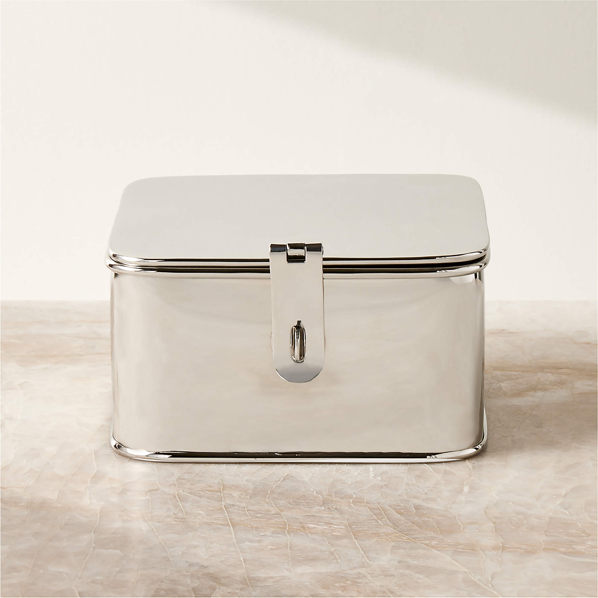 Samia Stainless Steel Boxes | CB2 Canada