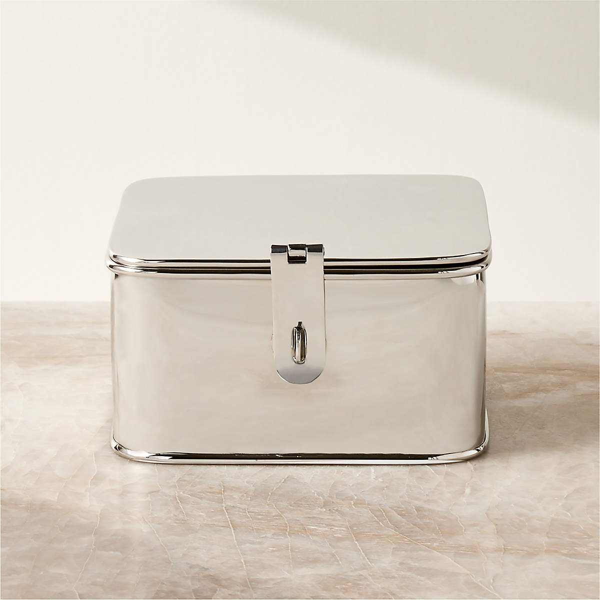 Samia Stainless Steel Boxes | CB2 Canada