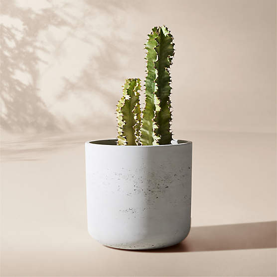 Komo Green Striped Ceramic Indoor/Outdoor Planter Small + Reviews | CB2