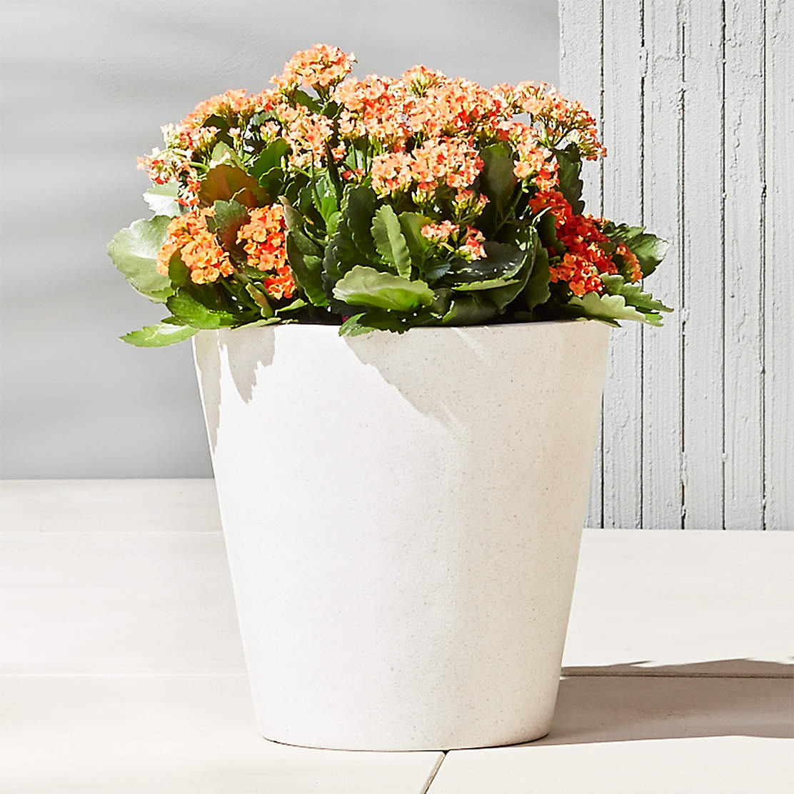Marram Ribbed White Indoor Planter Small + Reviews | CB2 Canada