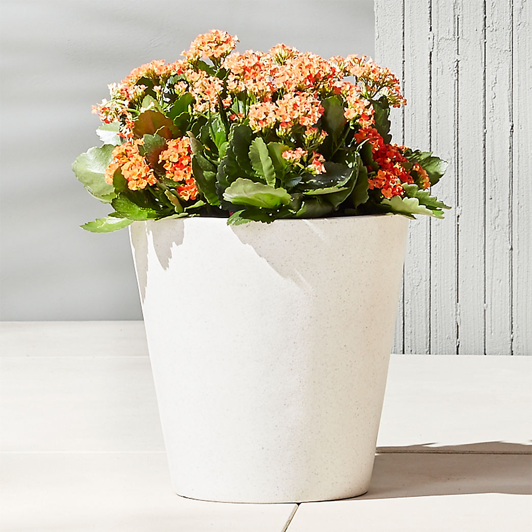 Modern White Outdoor Planters, Plant Pots and Planter Bowls | CB2
