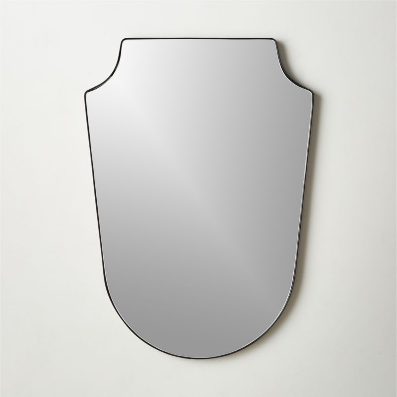 Slim Modern Black Frame Mirror 36 x26 Reviews CB2
