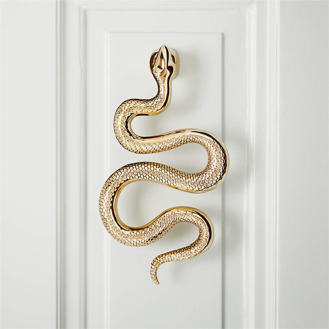 Modern Unlacquered Brass Snake Wall Hook + Reviews | CB2 Canada