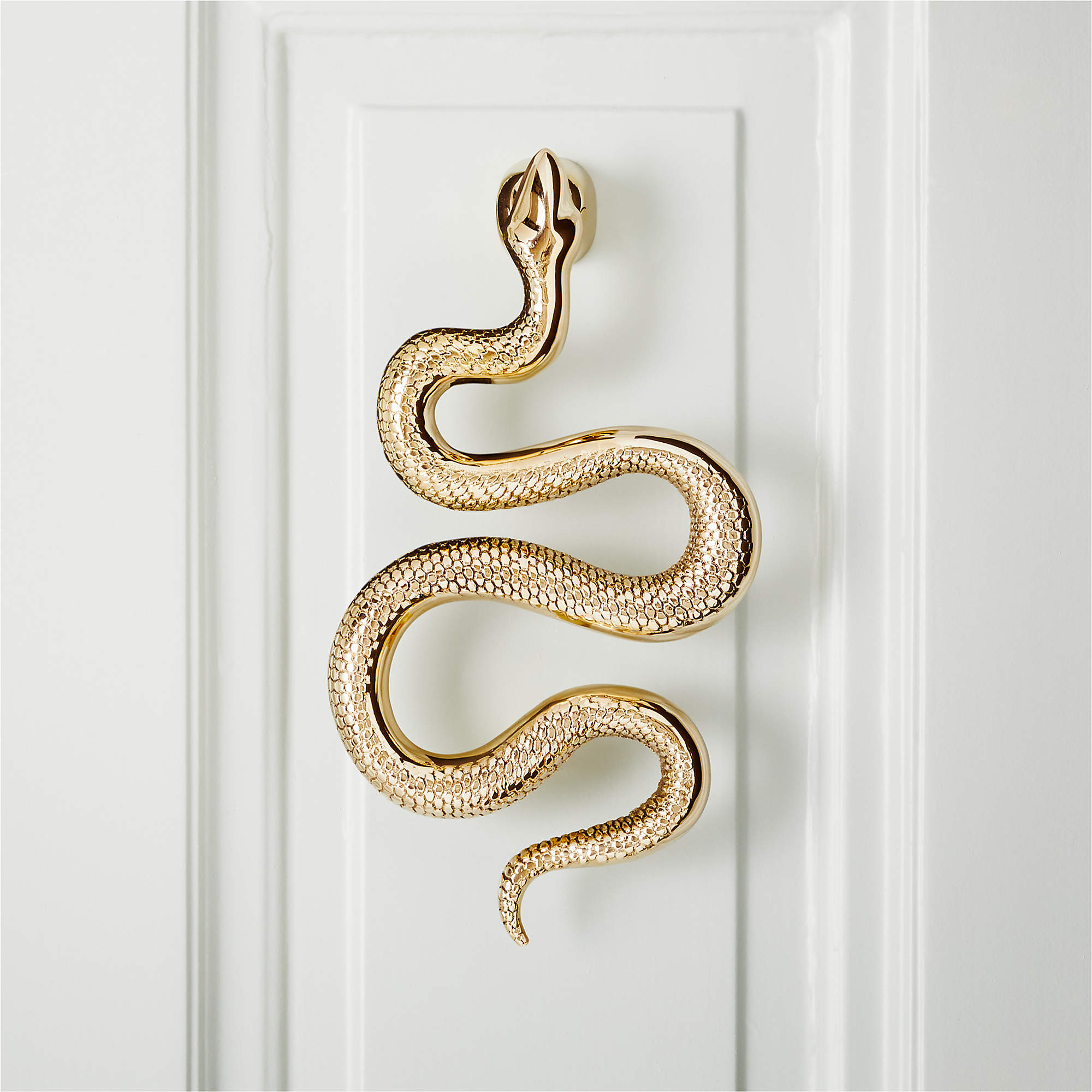 Modern Polished Brass Snake Door Knocker + Reviews | CB2