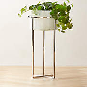 Syd Modern Small Glass Planter with Stand | CB2