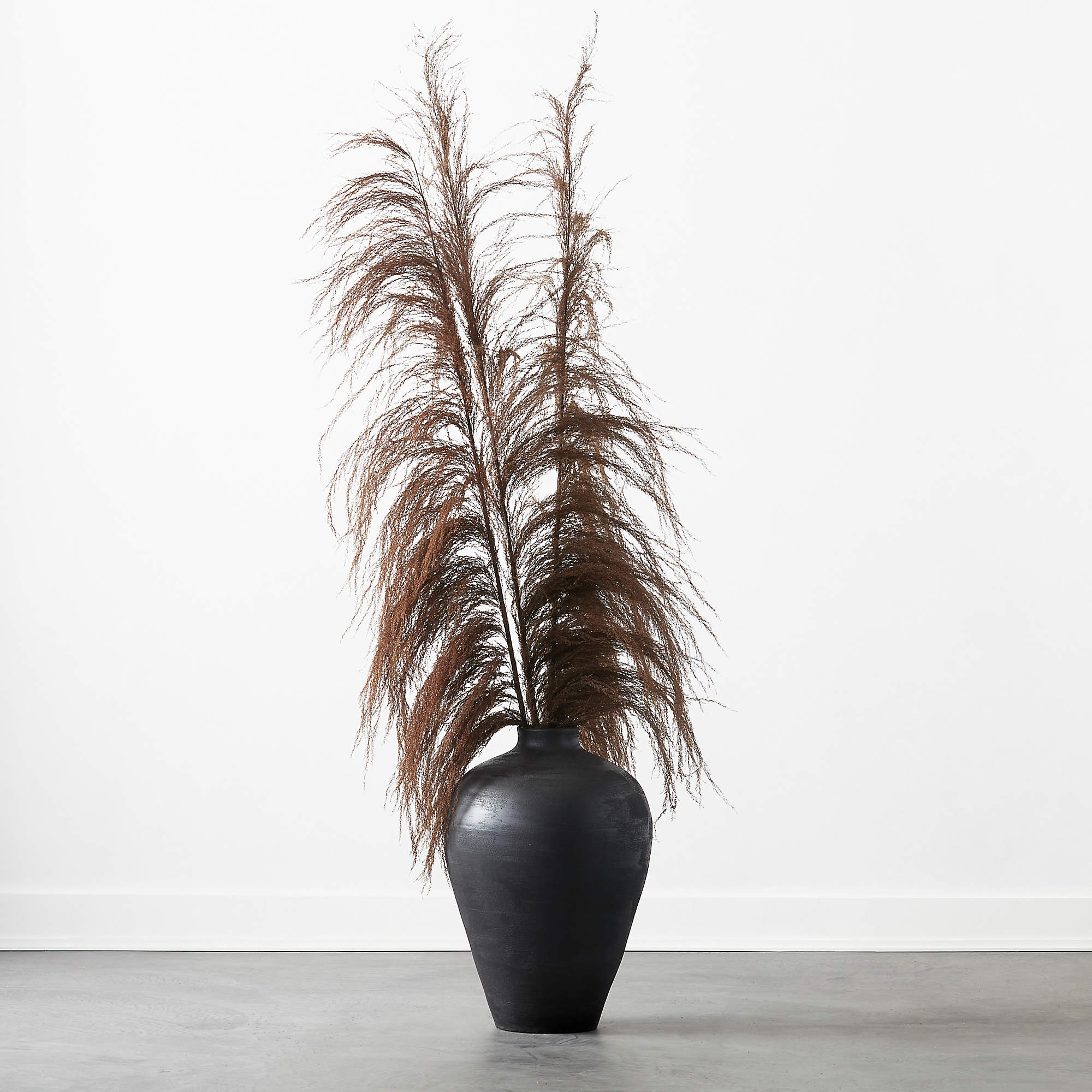 Uva Espresso Stalk 6'-8' Set of 3 | CB2