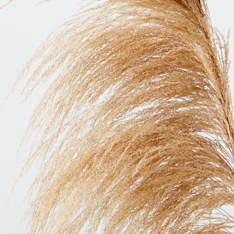 Uva Taupe Stalk 6'–8' Set of 3 | CB2