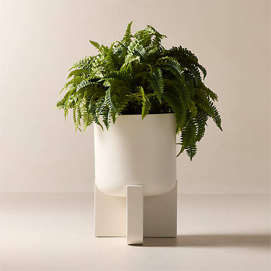 Marram Ribbed White Indoor Planter Small + Reviews | CB2 Canada