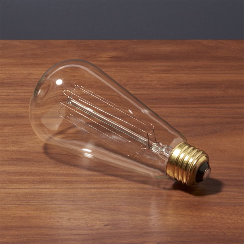 Vintage Filament 60W Light Bulb + Reviews | CB2