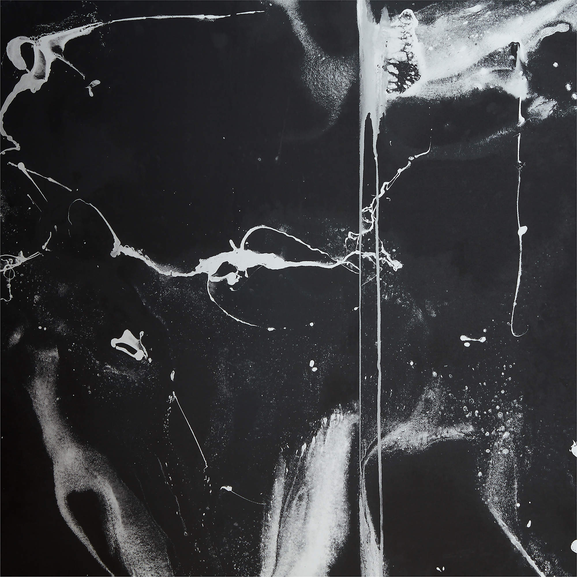 Whirling Dervish Black Wallpaper + Reviews | CB2 Canada