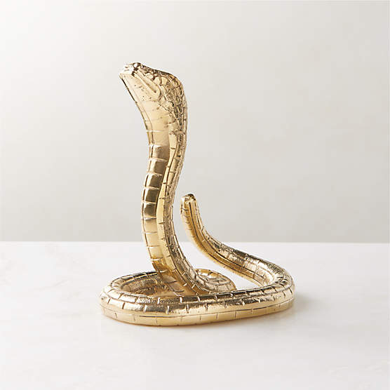 Modern Unlacquered Brass Snake Wall Hook + Reviews | CB2